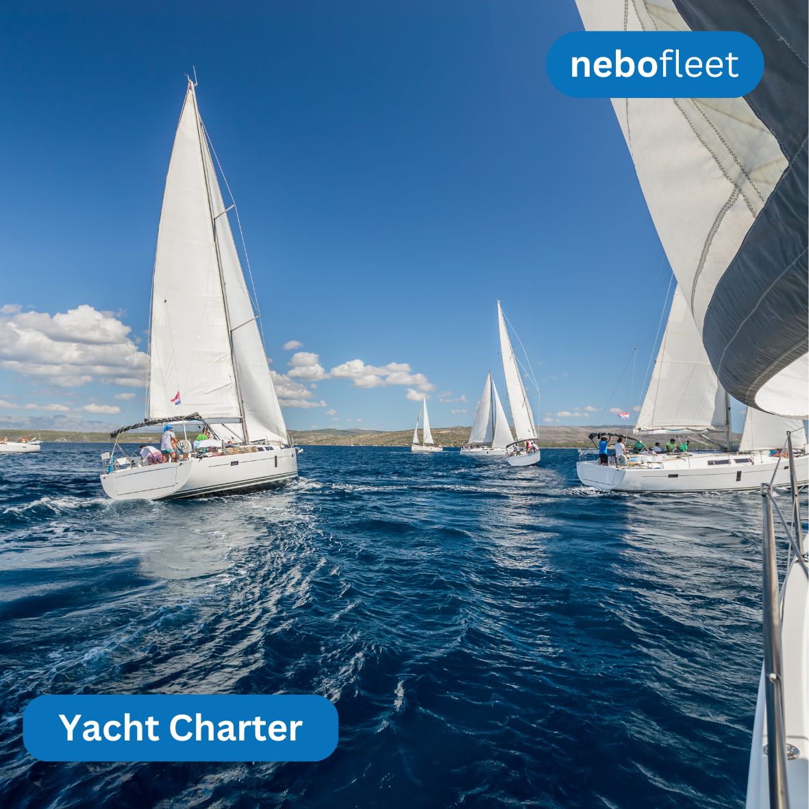 Nebo Fleet - Australian Marine Export Group